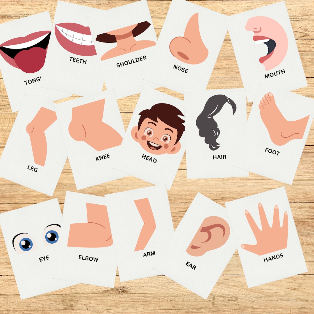 Printable Cards 22 Montessori Cards Flash Cards Nomenclature Cards ...