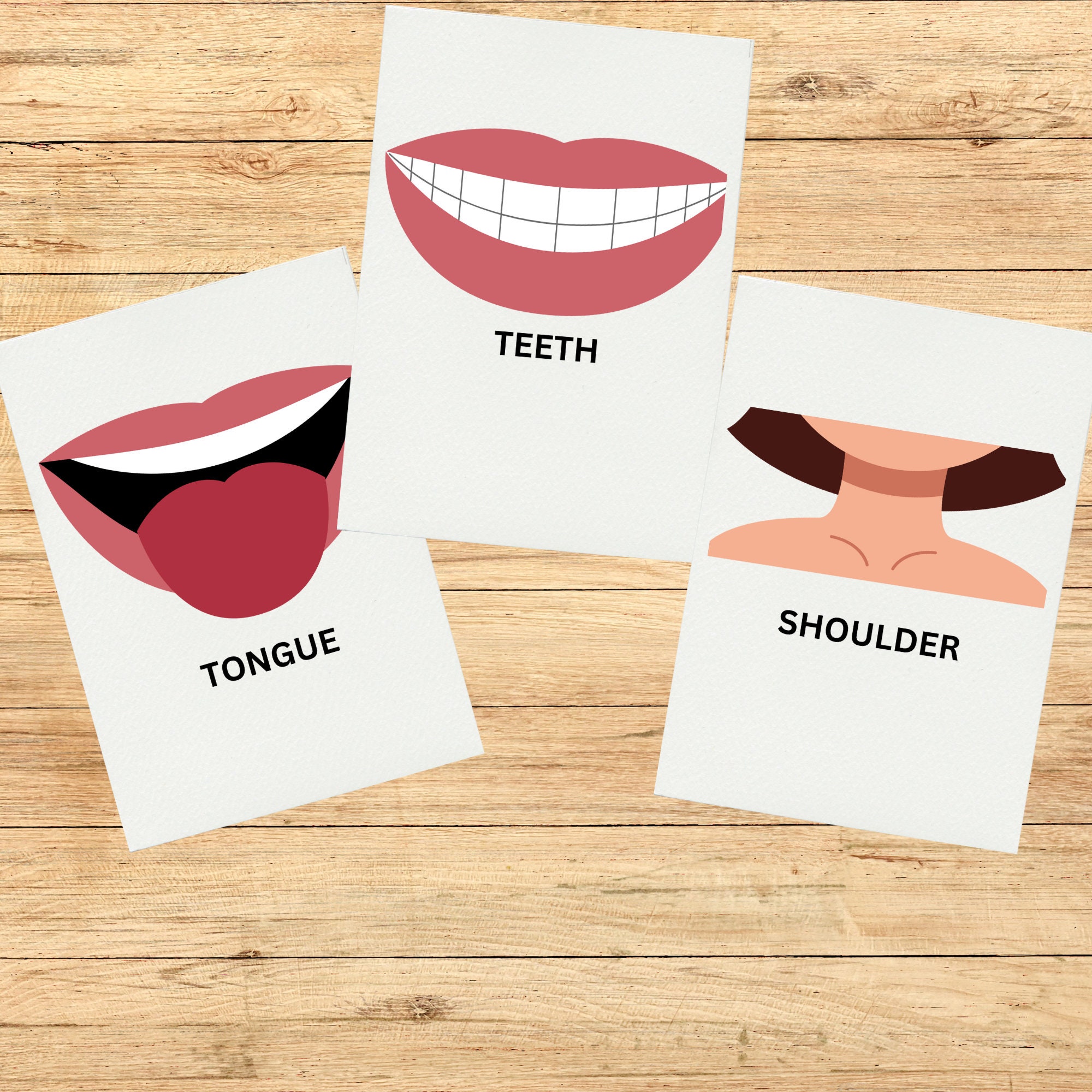 Printable Cards 22 Montessori Cards Flash Cards Nomenclature Cards ...