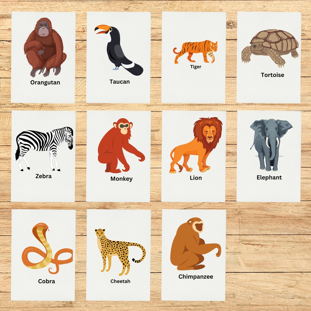 Tarjetas Imprimibles preescolar Animales de la Jungla Tarjetas - Etsy ...