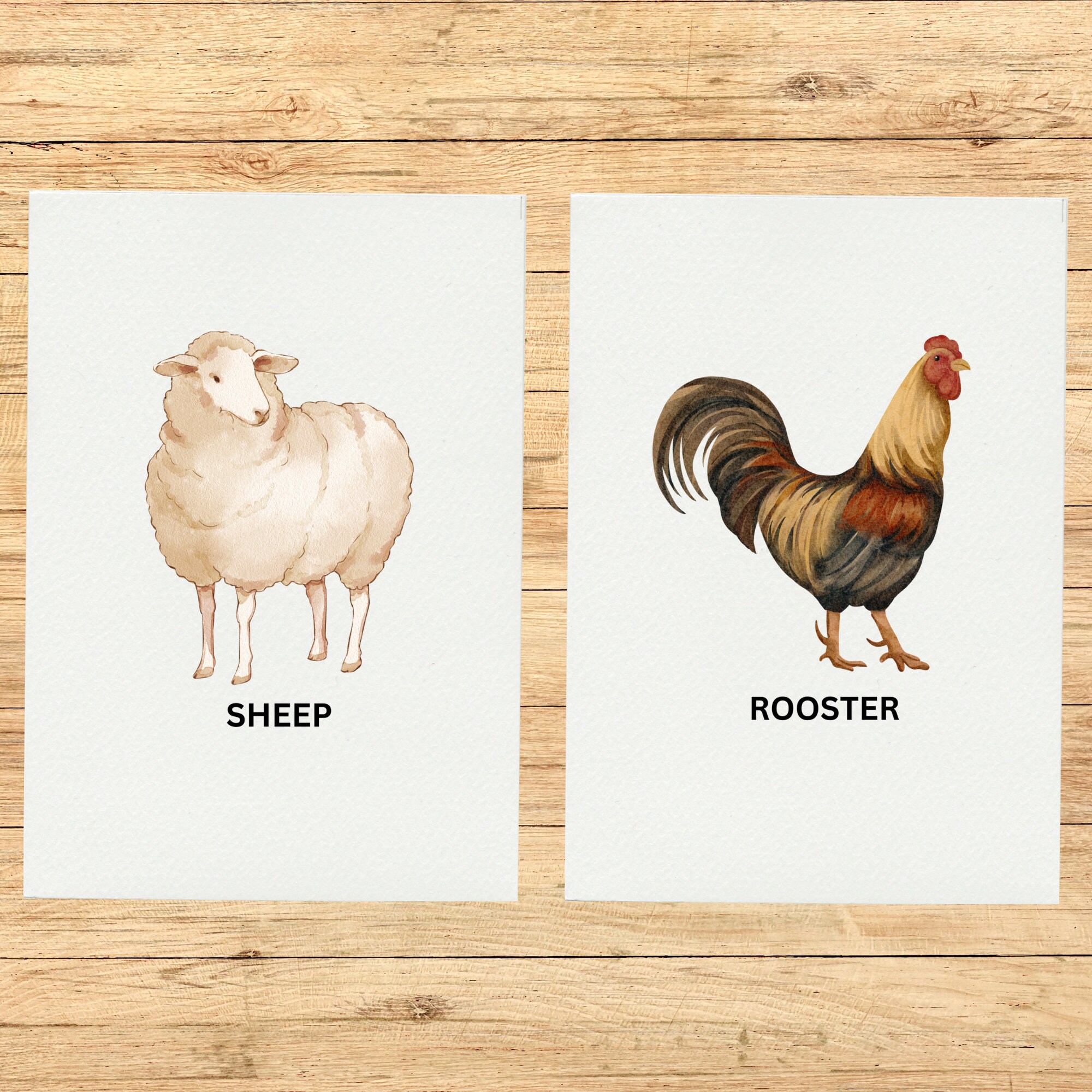 14 Editable Montessori Cards Flash Cards Nomenclature Flashcards PDF ...