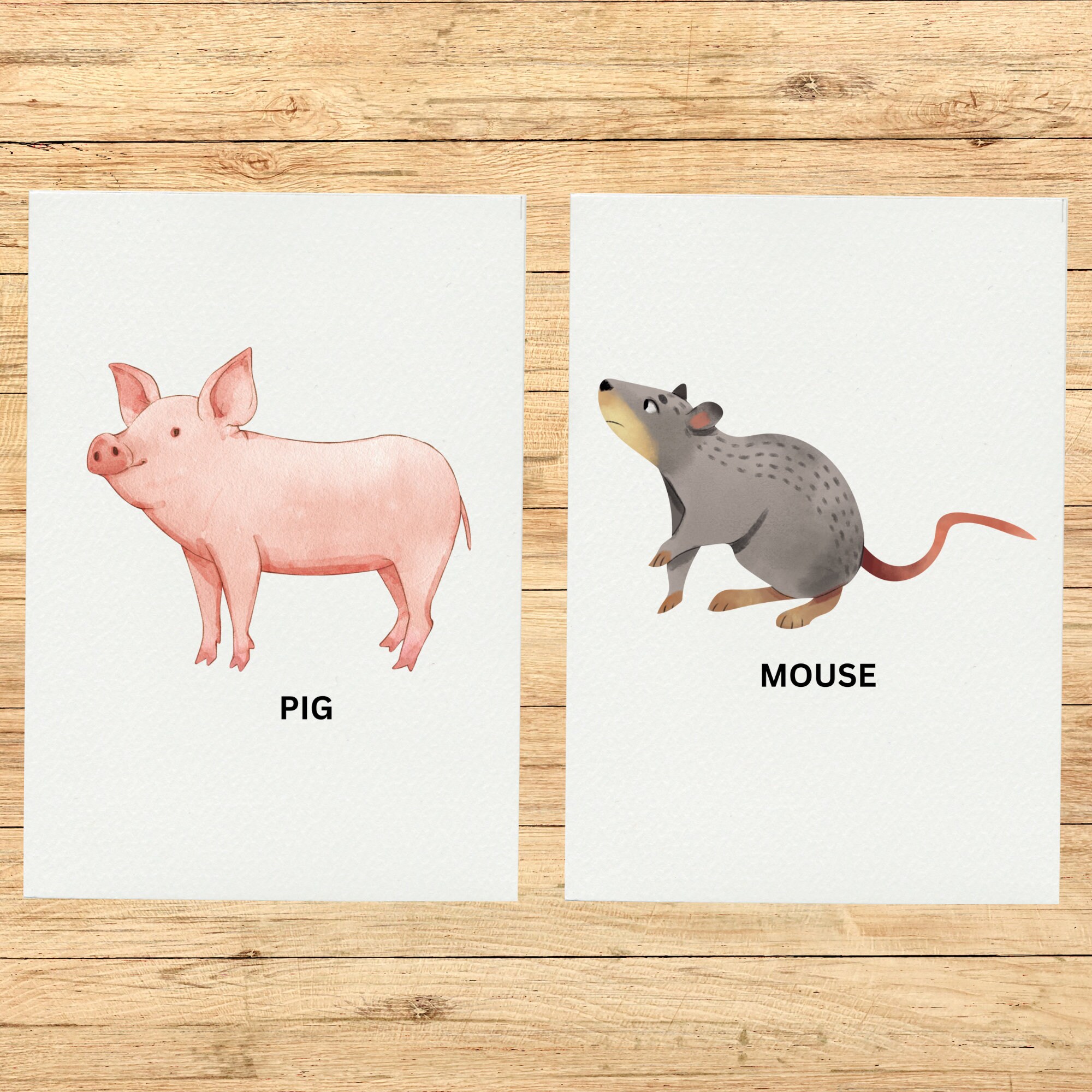 14 Editable Montessori Cards Flash Cards Nomenclature Flashcards PDF ...