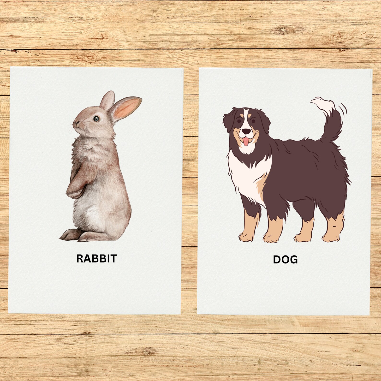 Editable Farm Animal Flash Cards, Montessori Printable (PDF) - Etsy