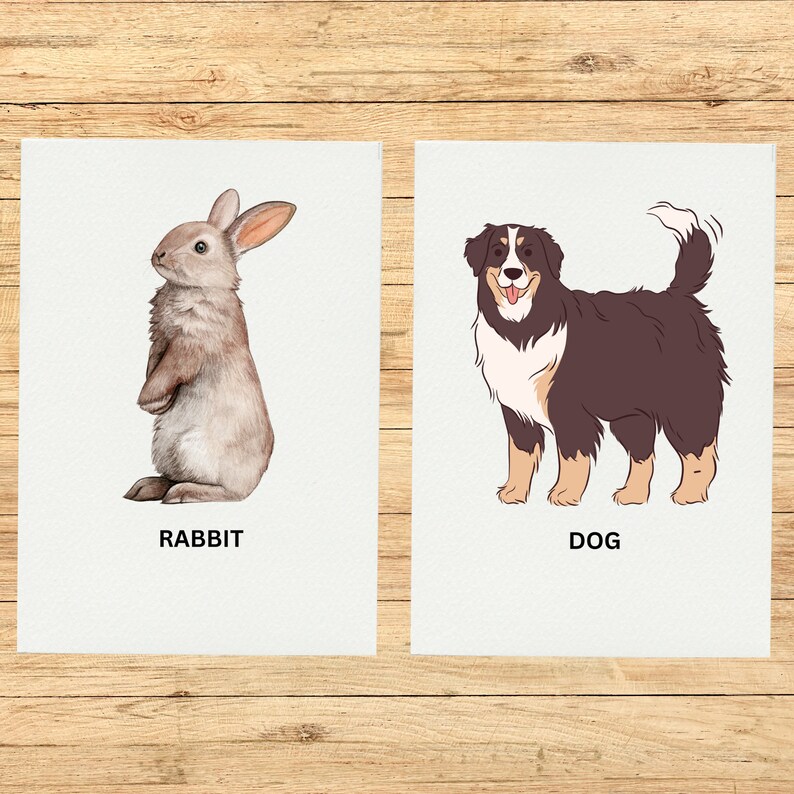 14 Editable Montessori Cards Flash Cards Nomenclature Flashcards PDF ...