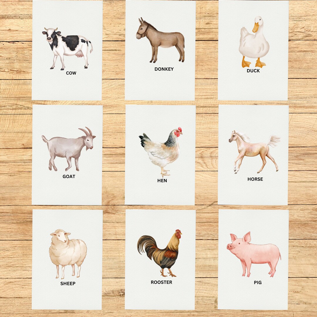 14 Editable Montessori Cards Flash Cards Nomenclature Flashcards PDF ...