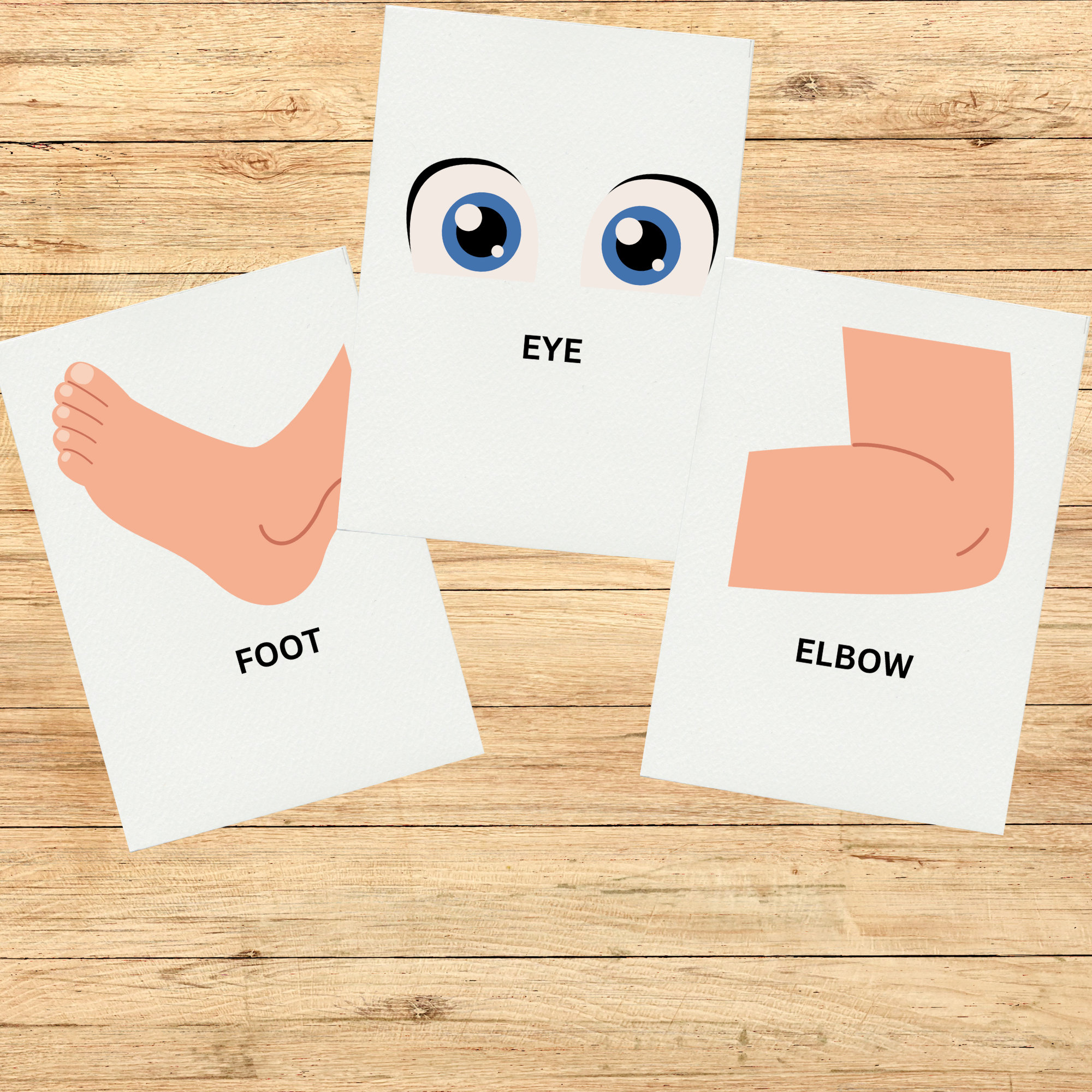 Printable Cards 22 Montessori Cards Flash Cards Nomenclature Cards ...