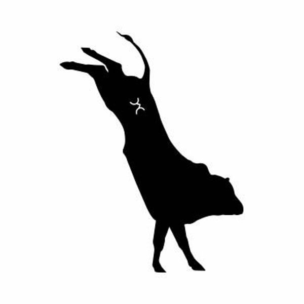 Bull Rider - Etsy