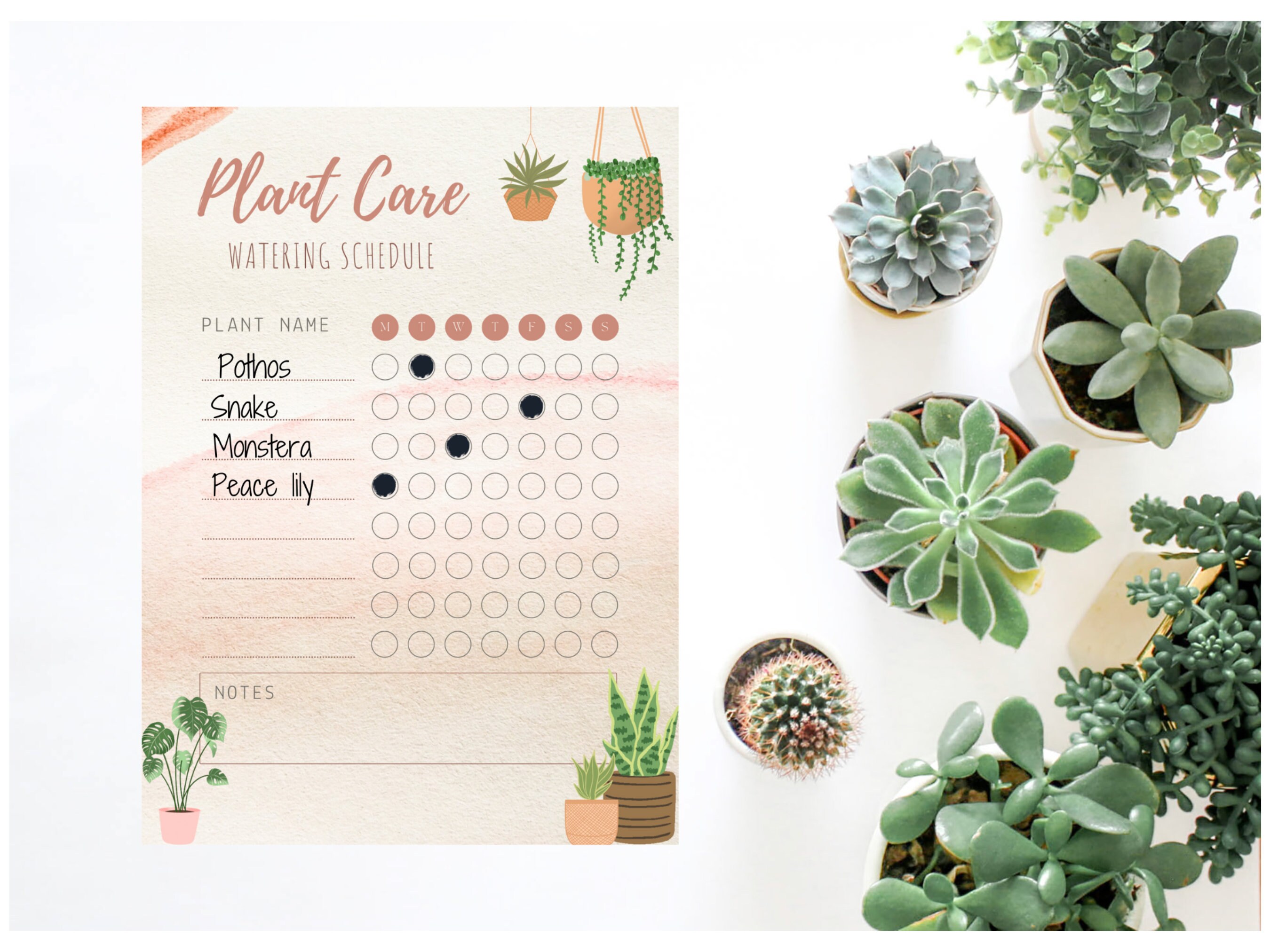 Printable Plant Tracker, Plant Care, Plant Care Schedule, Plant Care ...