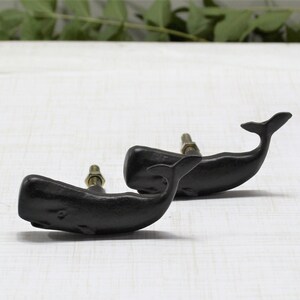 Whale Knob, One Dresser Furniture Desk Hardware, Coastal Bathroom, Beach House - Etsy