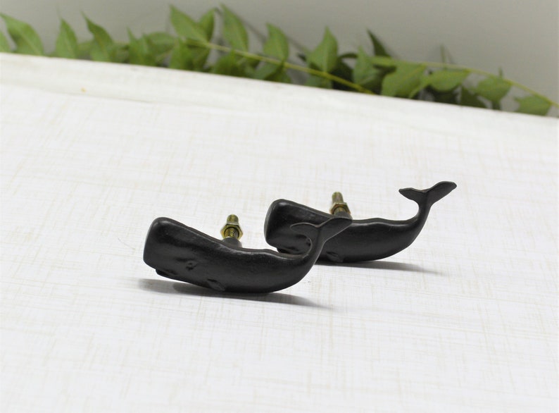 Whale Knob One Dresser Furniture Desk Hardware Coastal - Etsy