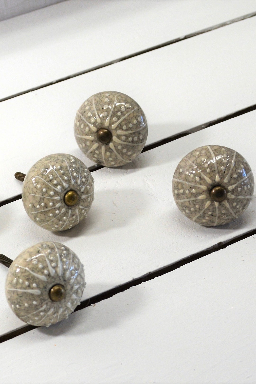 Urchin Seashell Knob, Beige Sea Shell Cabinet Pull, Coastal Cabinet ...