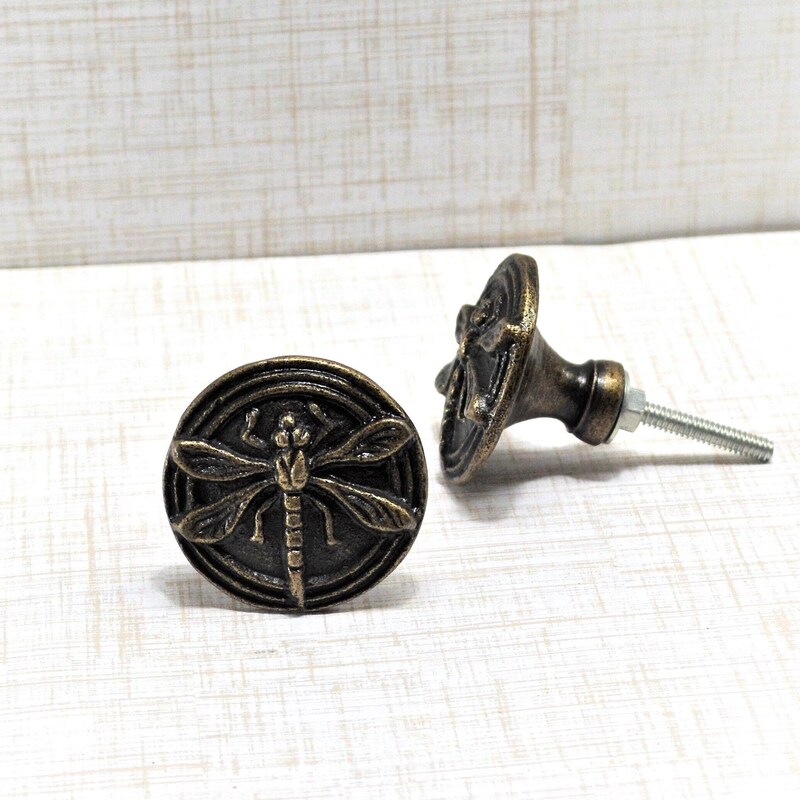 Insect Drawer Knobs - Etsy