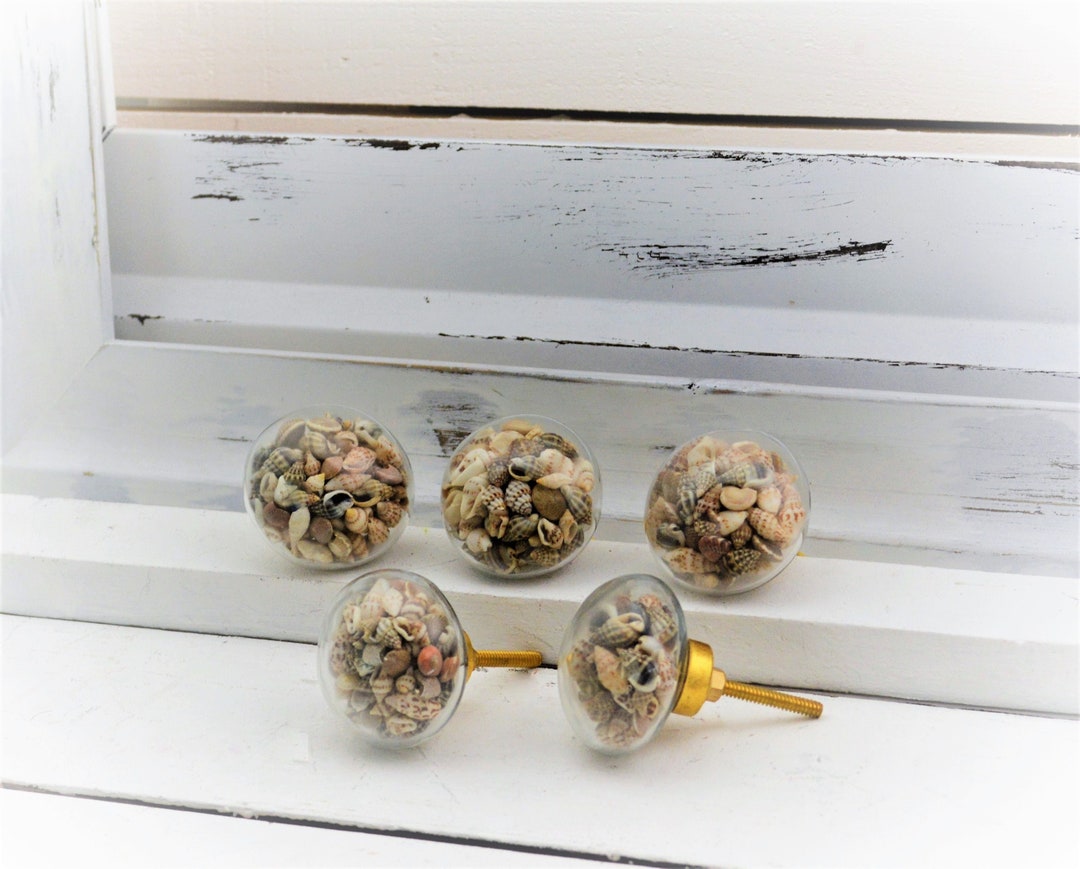 Glass Seashell Knob, One Cabinet Furniture Drawer Pull - Etsy