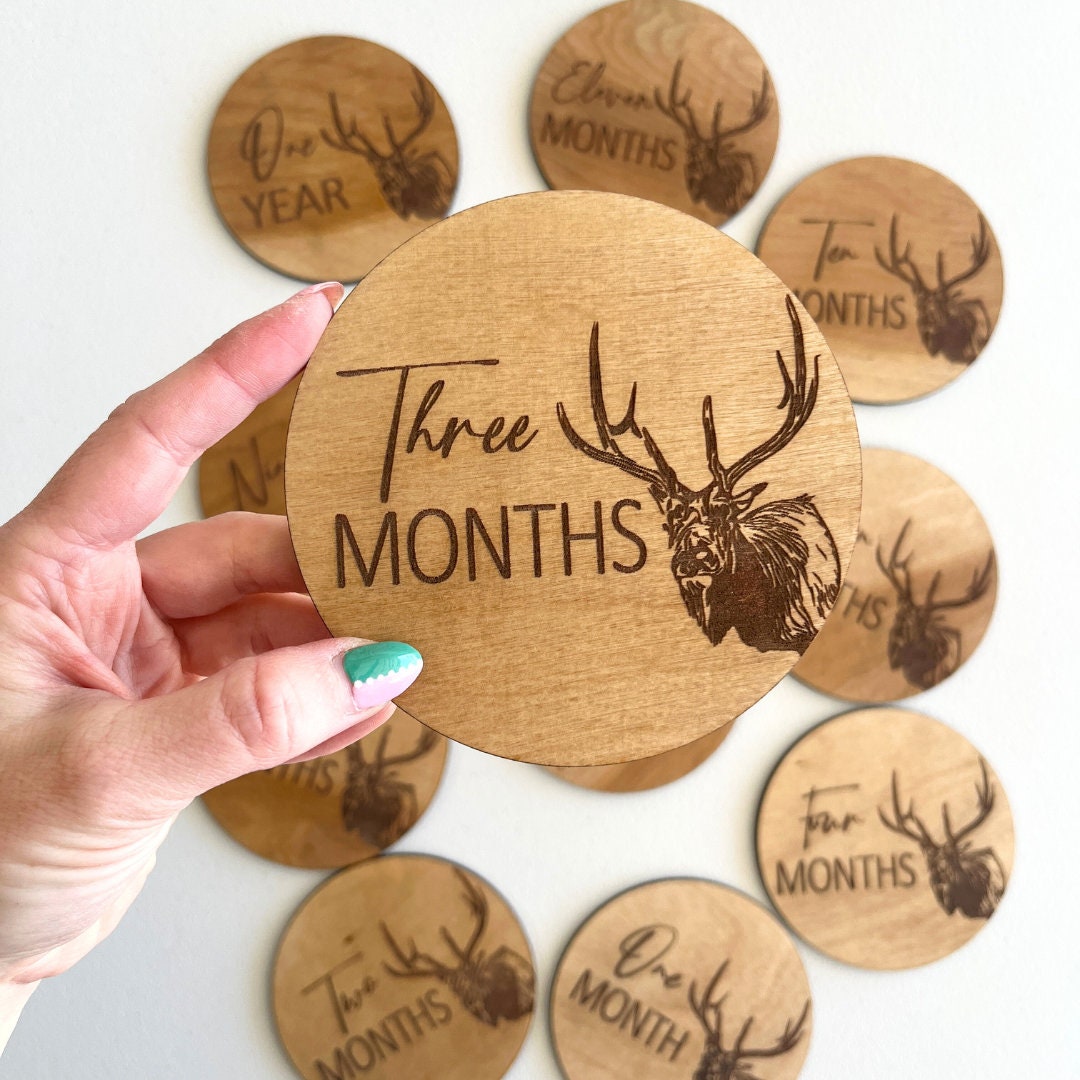 Monthly Milestone 1-12 Month Signs for Baby Boy Hunter Photo Prop ...