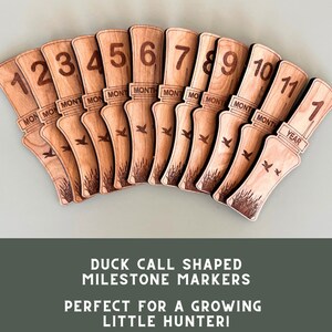 Mallard Duck Monthly Milestone Duck Call 1-12 Month Signs for Baby ...