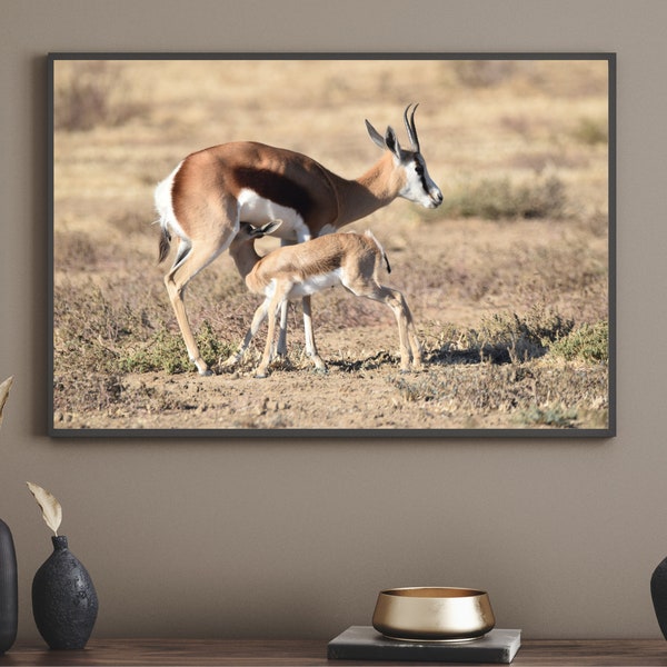 Springboks Wall Art - Etsy