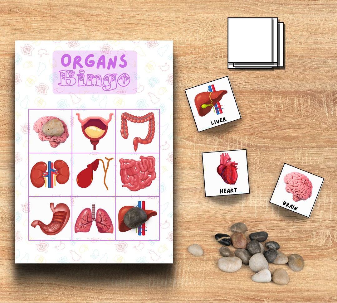 Organ's Bingo to Study Human Anatomy, Aesthetically Pleasant Looking ...