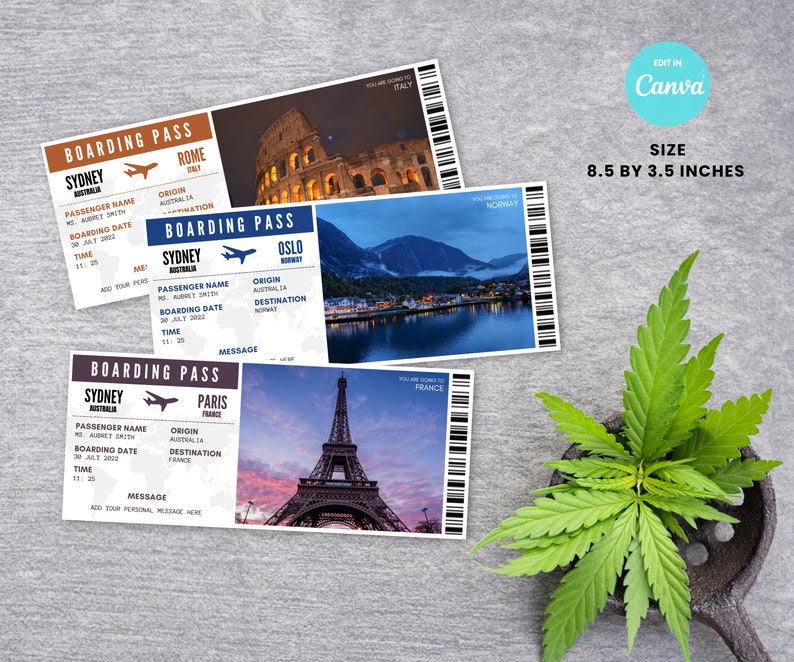 Editable Boarding Pass Ticket Printable Airplane Tickets - Etsy