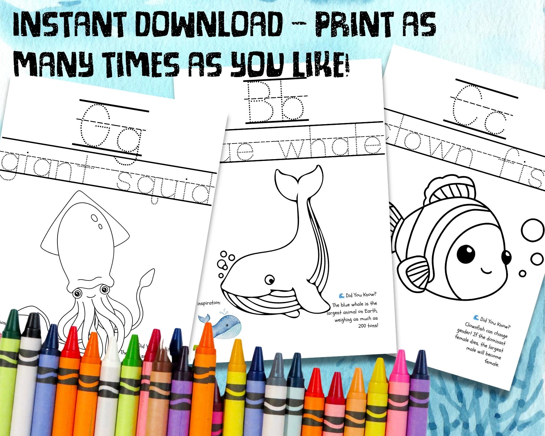 A to Z Ocean Animals Coloring Book, Alphabet Tracing Workbook ...