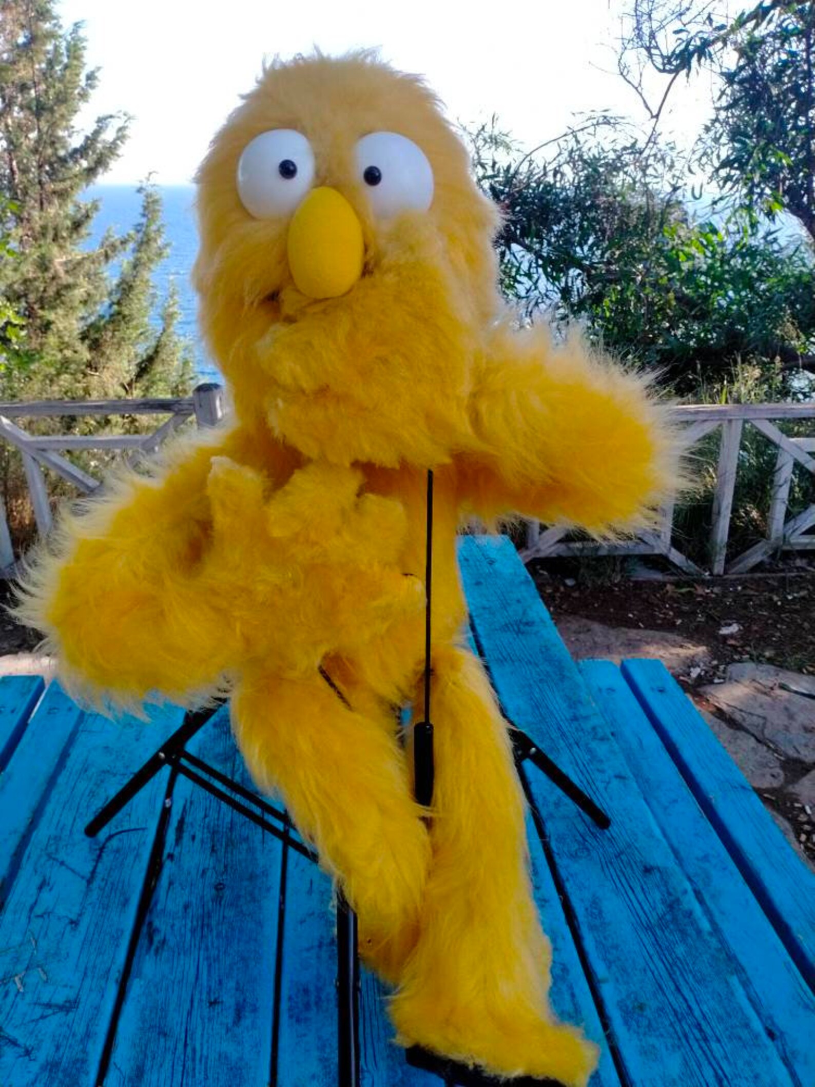 Puppet, Professional Puppet, Puppets for Kids, Ventriloquist Puppet ...