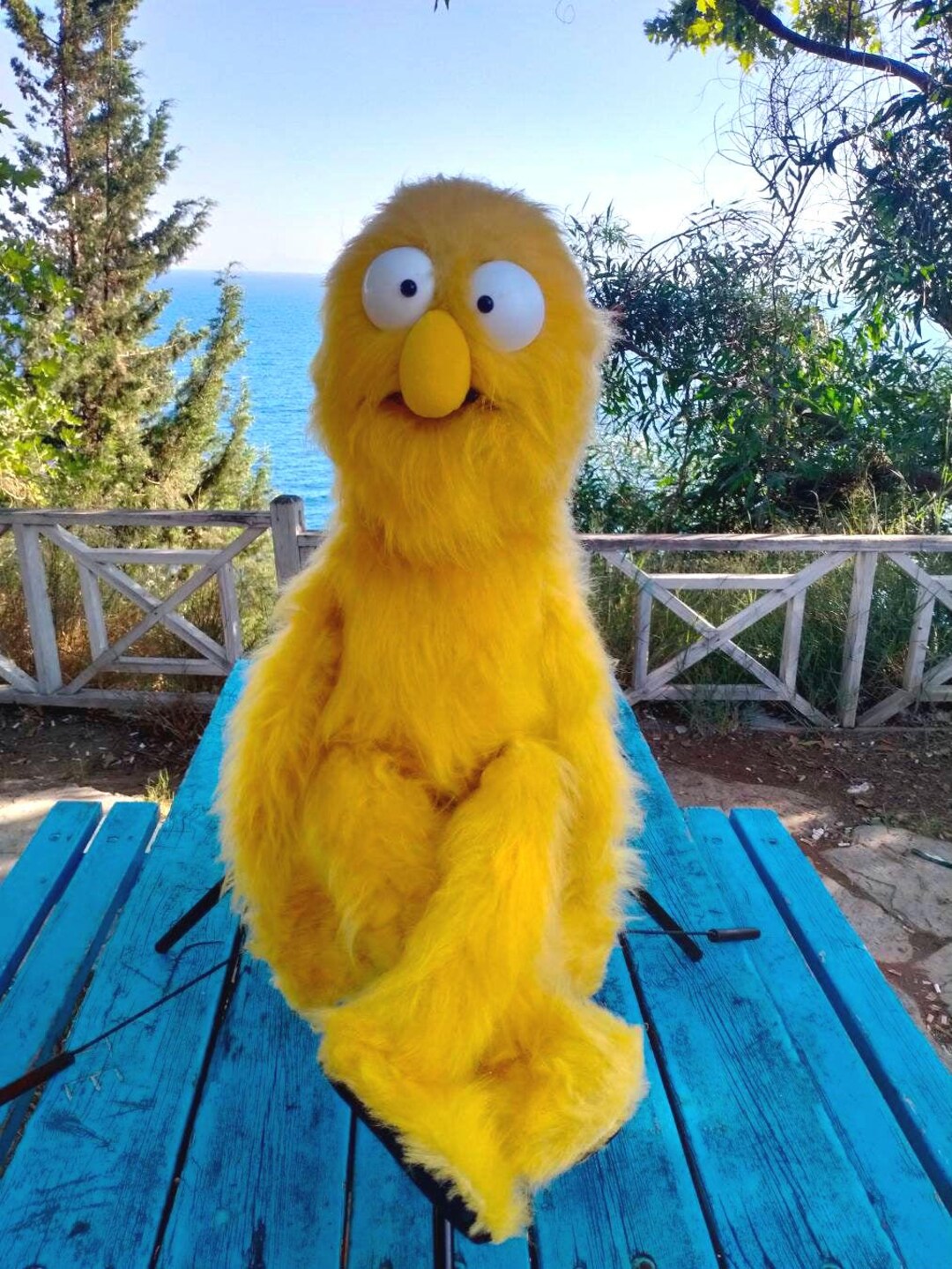 Puppet, Professional Puppet, Puppets for Kids, Ventriloquist Puppet ...