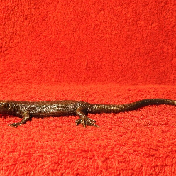 Lizard Figurine - Etsy