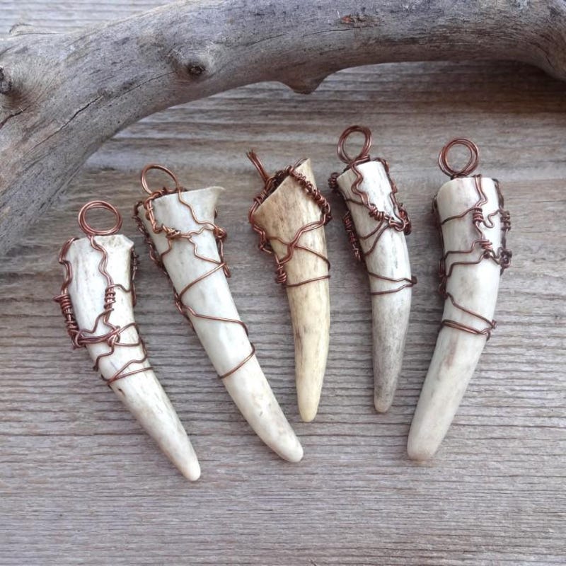 Deer Antlers - Etsy