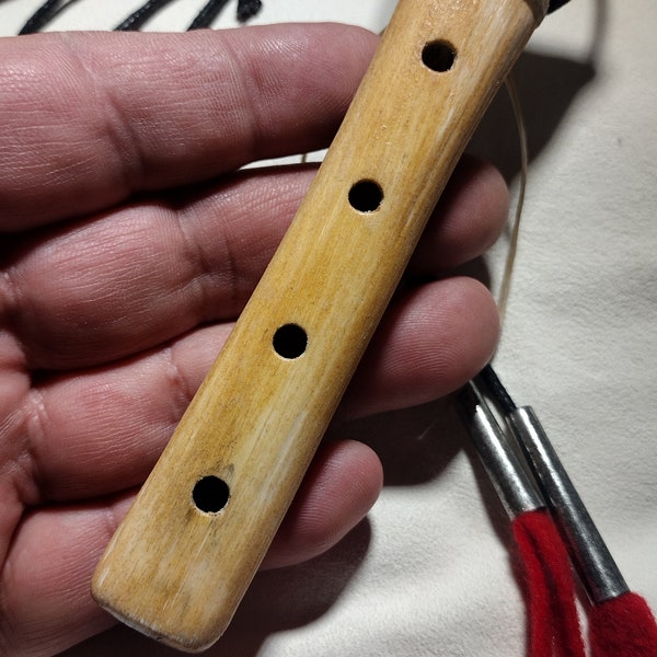 Turkey Wing Shells - Etsy