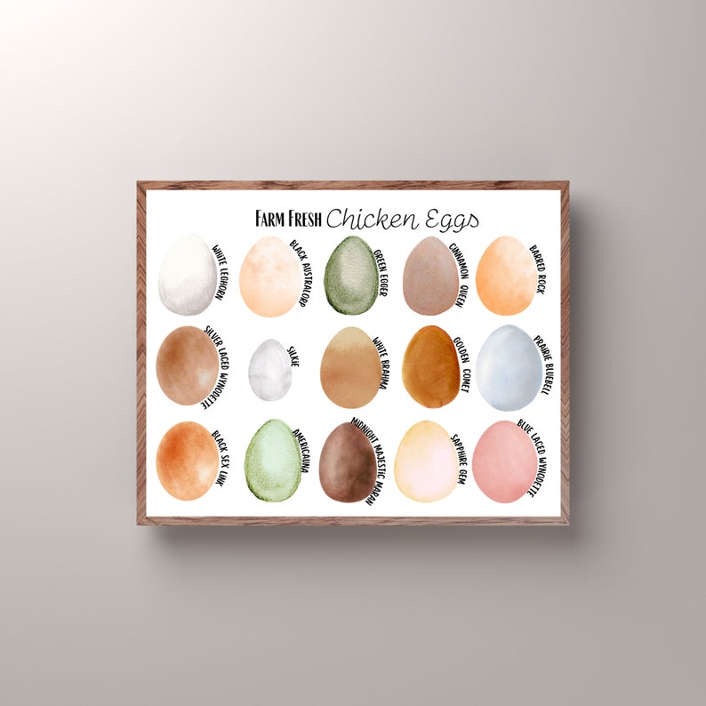 Farm Fresh Eggs Decor, Chicken Egg Color Print, Chicken Coop Decor ...