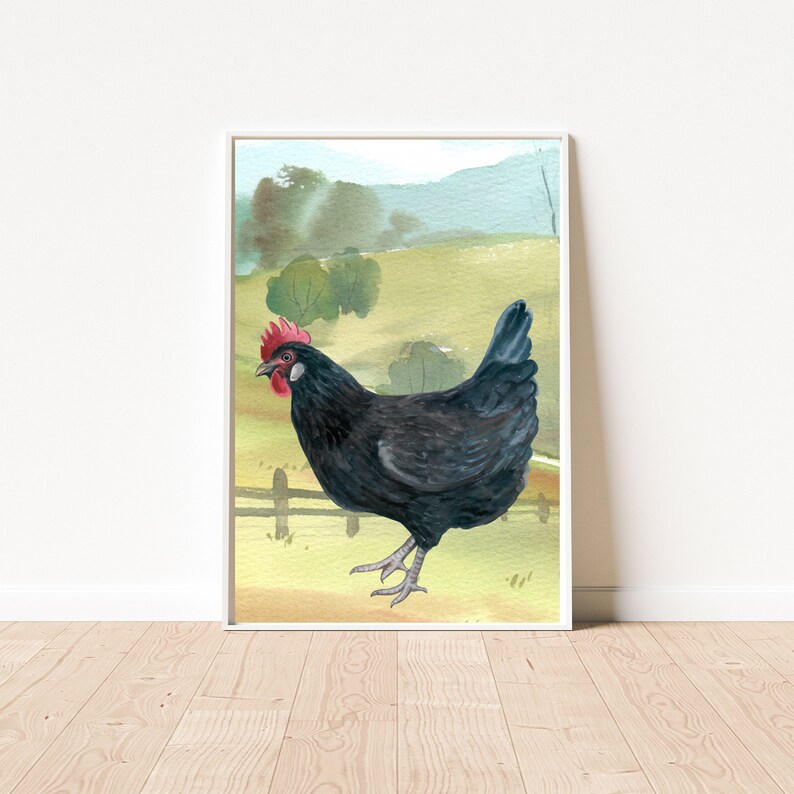 Chicken & Rooster Watercolor Print Set, Chicken Wall Art, Farmhouse Art ...