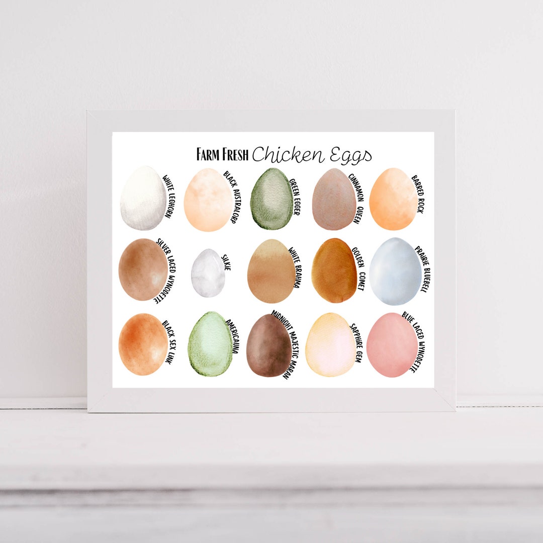 Farm Fresh Eggs Decor, Chicken Egg Color Print, Chicken Coop Decor ...