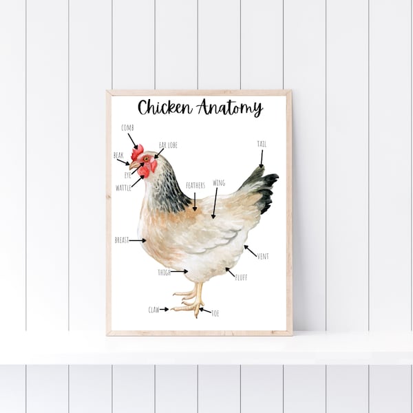 Chicken Poster - Etsy