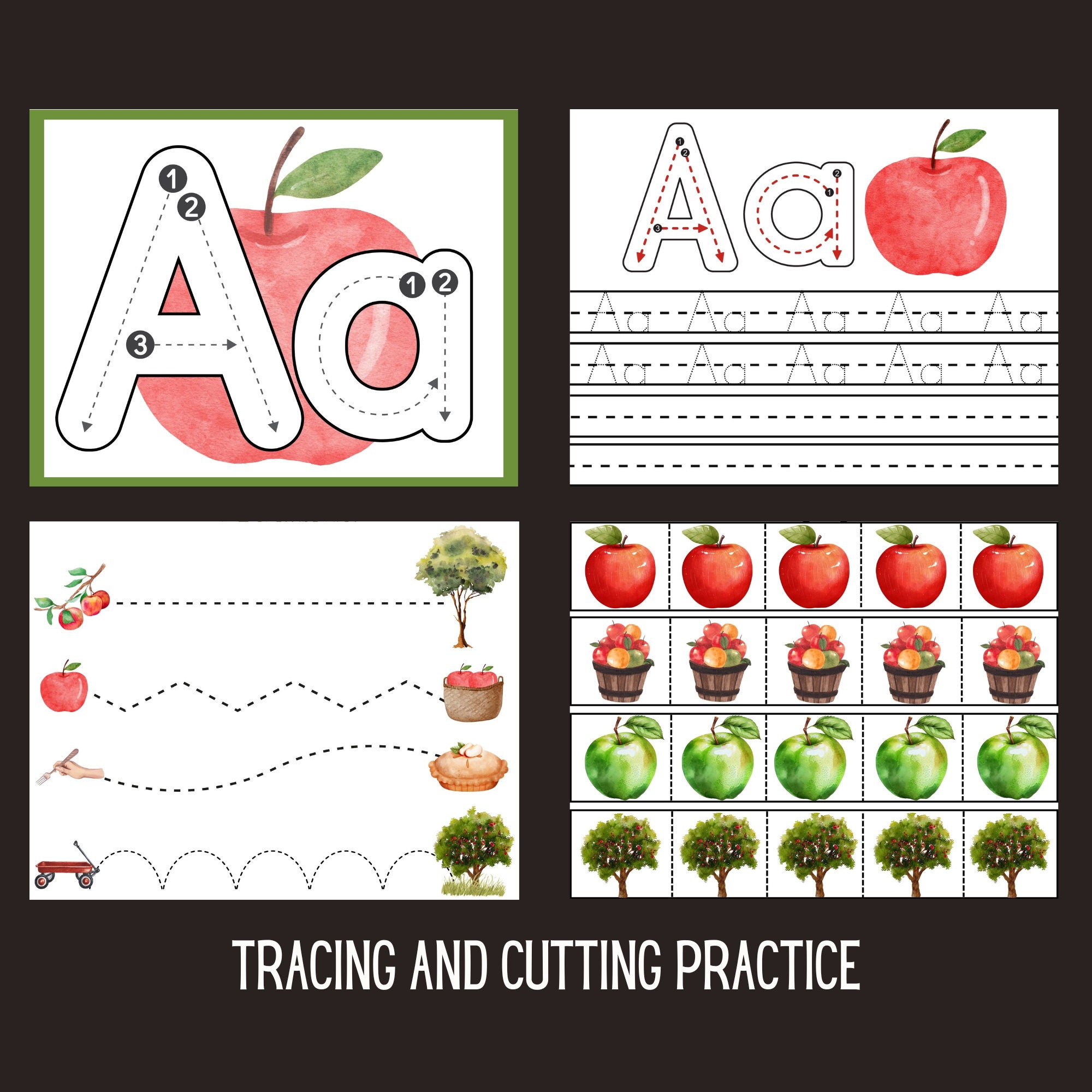 Apple Unit Study, Apple Anatomy, Pre-k Apple Printables, Montessori ...