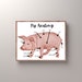 Pig Anatomy Poster, Farm School Printable (digital Download) - Etsy