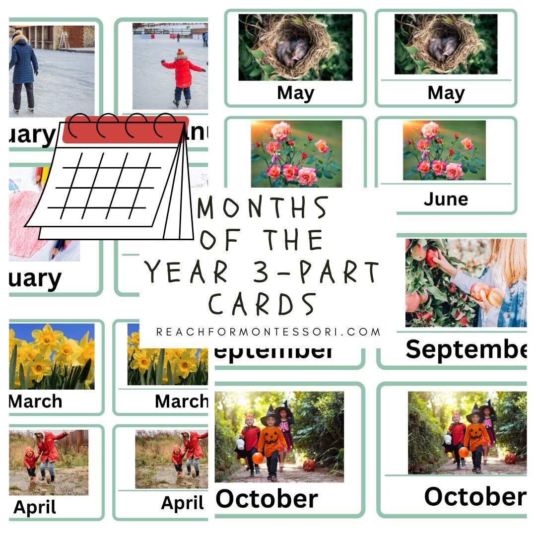 Months of the Year Montessori 3-part Cards Printable - Etsy