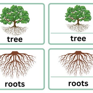 Tree Parts Montessori 3-part Cards Printable - Etsy