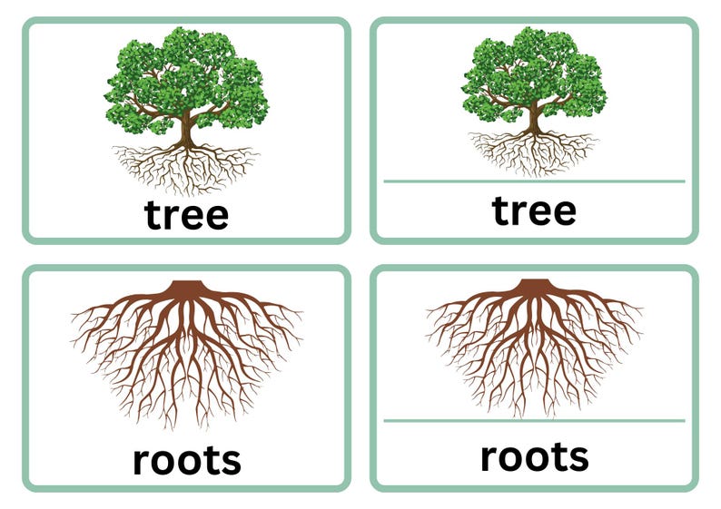 Tree Parts Montessori 3-part Cards Printable - Etsy