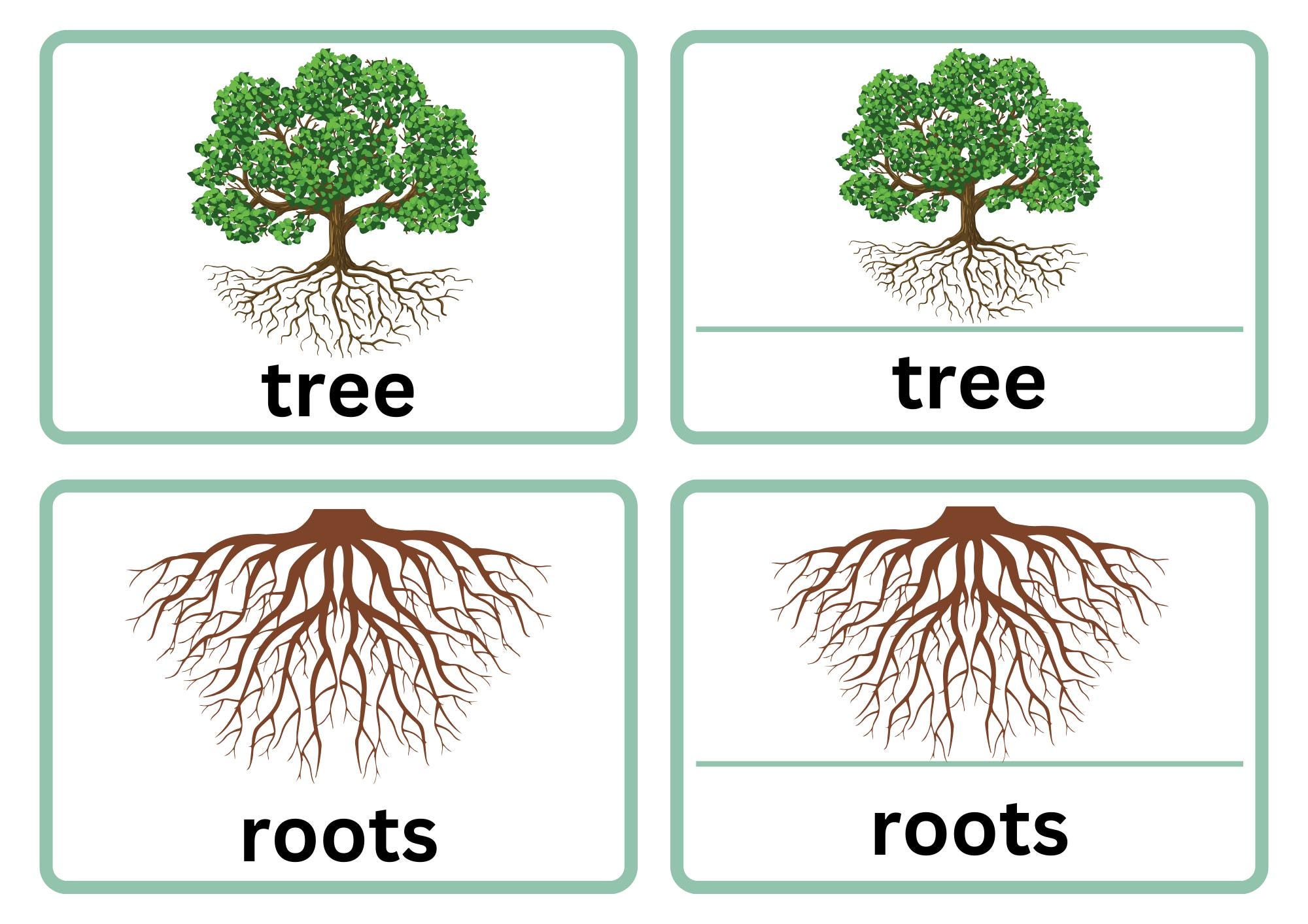 Tree Parts Montessori 3-part Cards Printable - Etsy