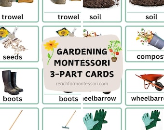 Human Organs Montessori 3-part Cards Printable - Etsy
