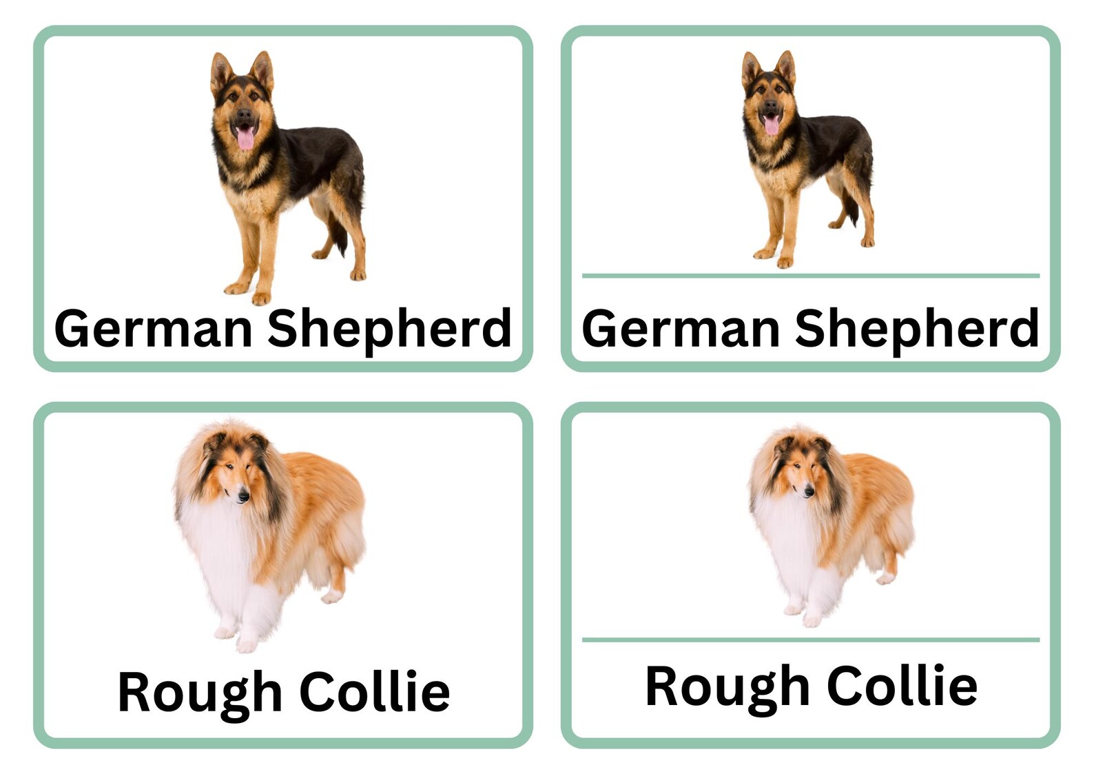 Dog Breeds Montessori 3-part Cards Printable - Etsy