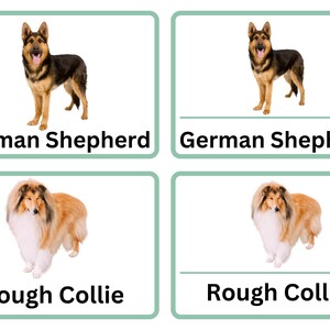 Dog Breeds Montessori 3-part Cards Printable - Etsy