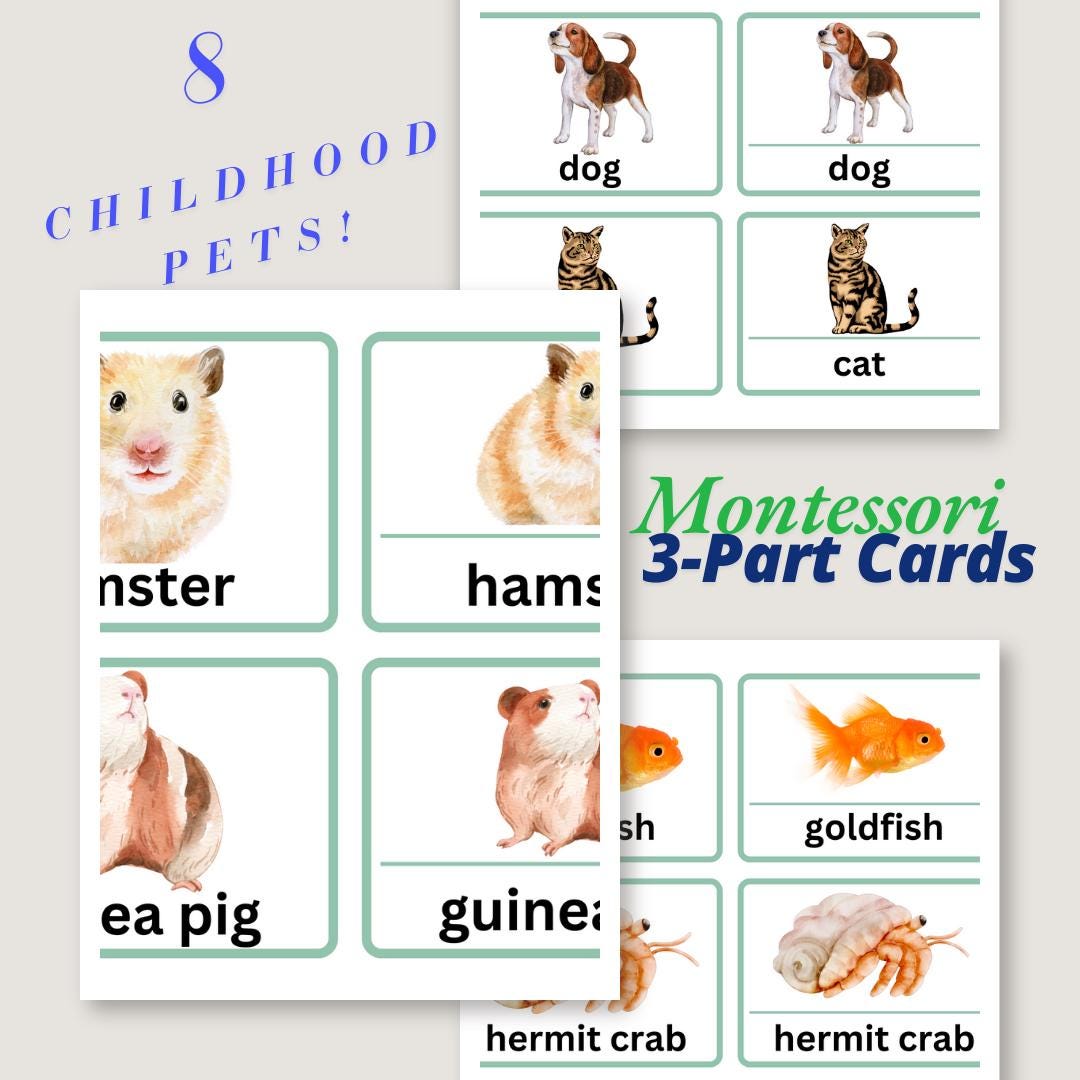 Pets Montessori 3-part Cards Printable - Etsy
