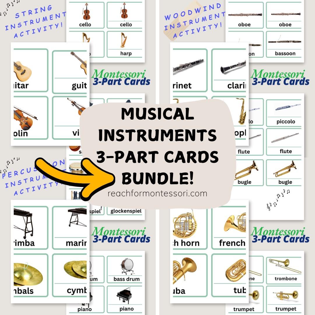 Musical Instruments BUNDLE Montessori 3-part Cards Printable - Etsy