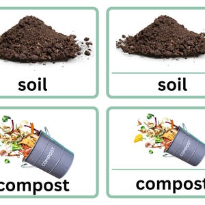 Gardening Montessori 3-part Cards Printable - Etsy