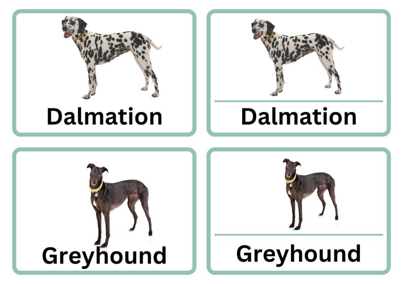 Dog Breeds Montessori 3-part Cards Printable - Etsy