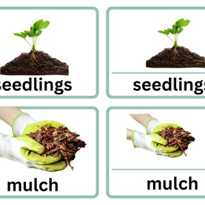 Gardening Montessori 3-part Cards Printable - Etsy