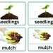 Gardening Montessori 3-part Cards Printable - Etsy