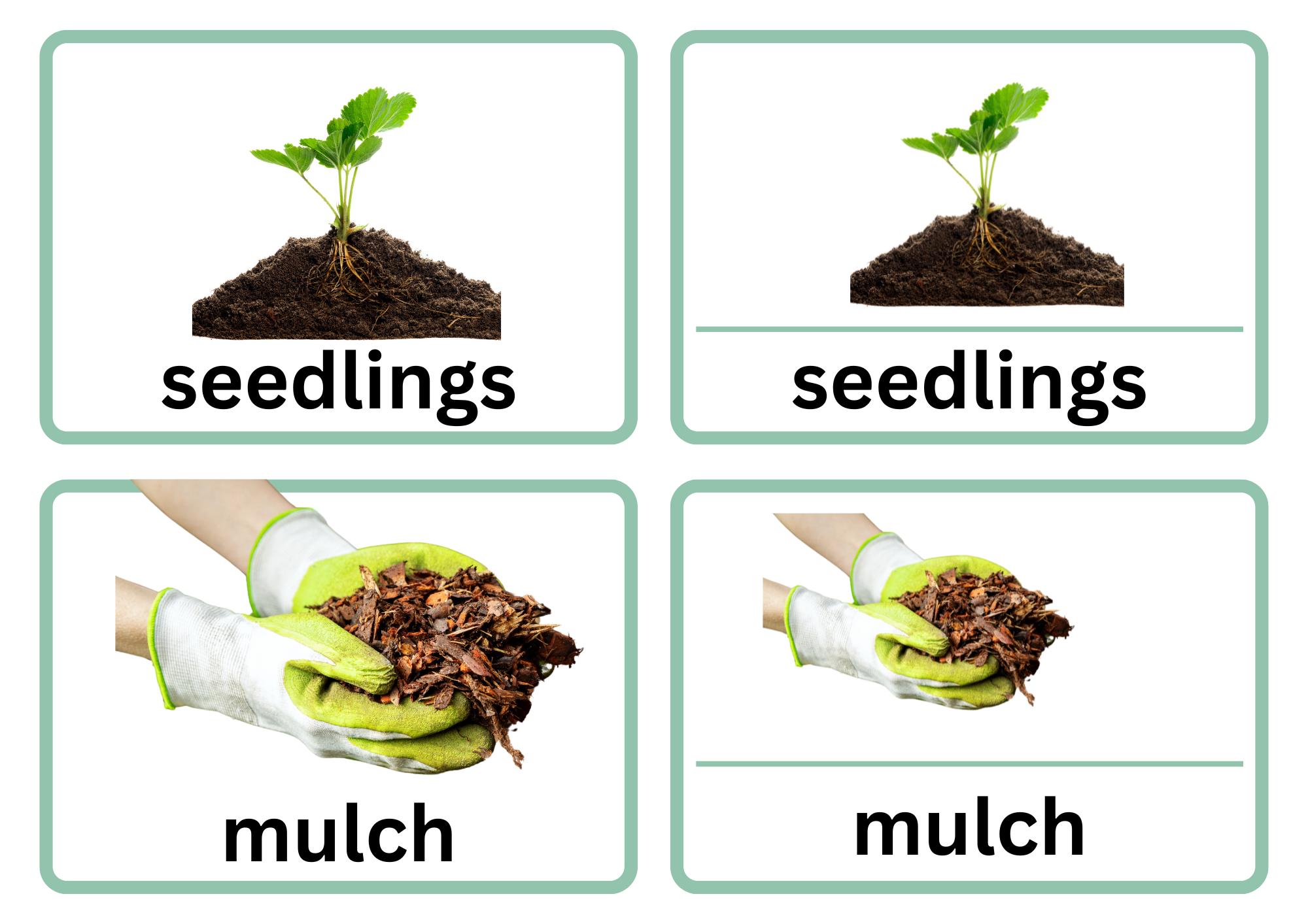 Gardening Montessori 3-part Cards Printable - Etsy