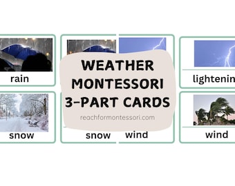 Human Organs Montessori 3-part Cards Printable - Etsy