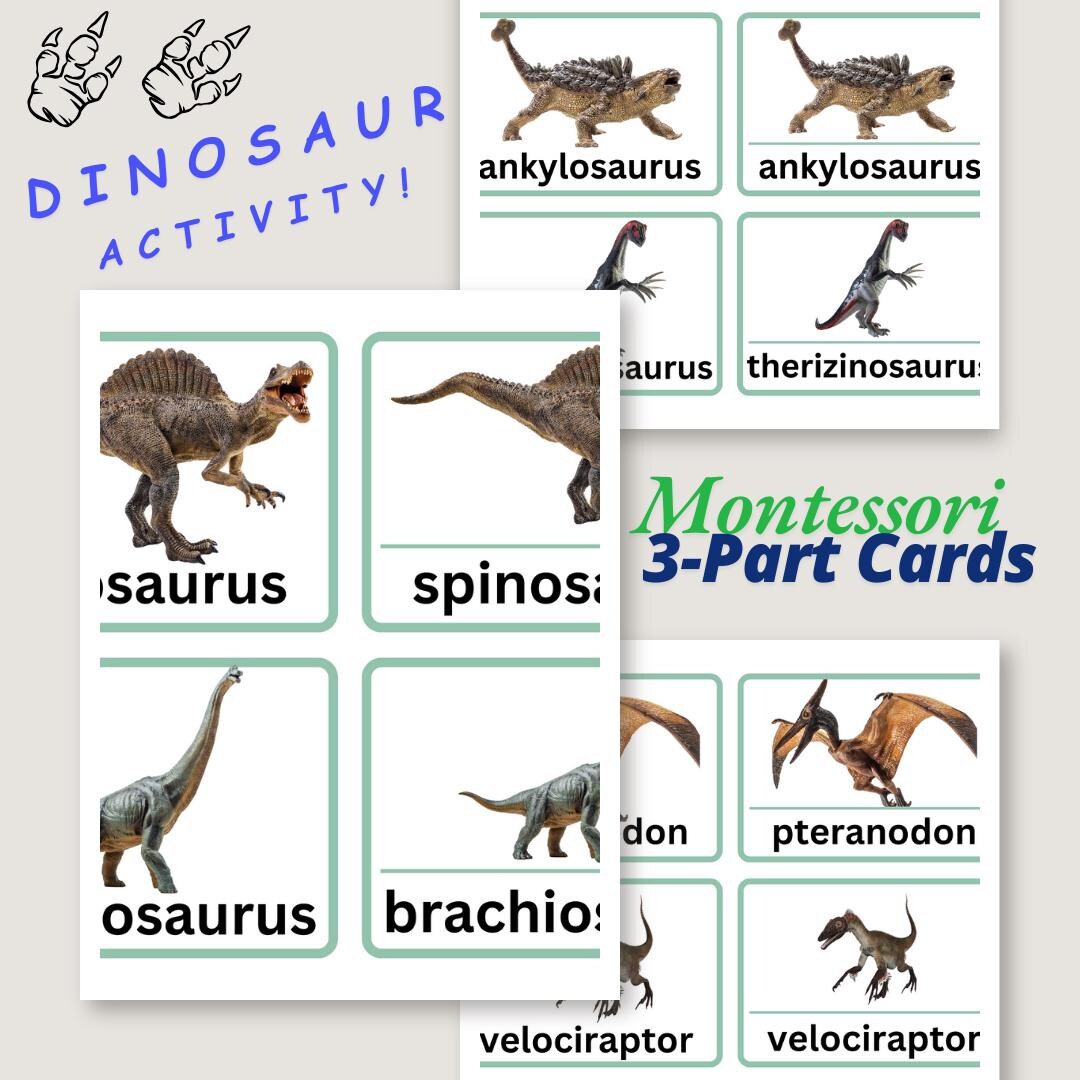 Dinosaurs Montessori 3-part Cards Printable - Etsy