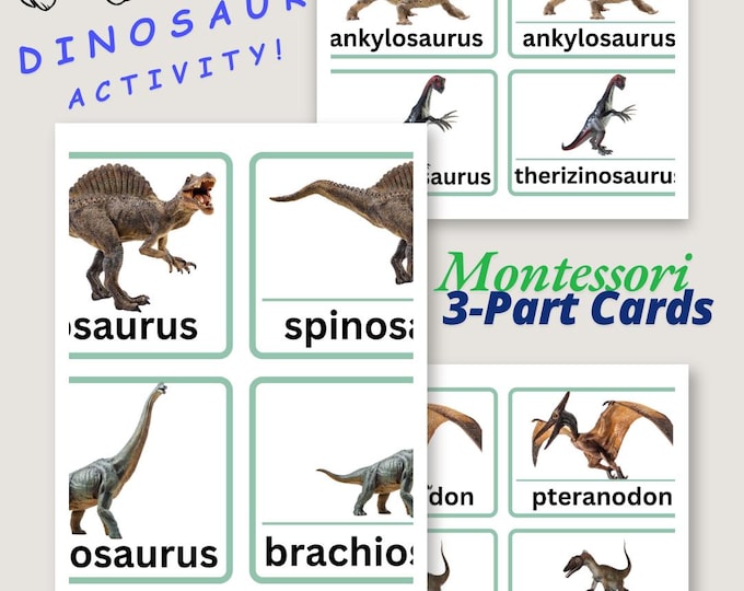 Montessori Dinosaur 3 Part Cards - Etsy Ireland